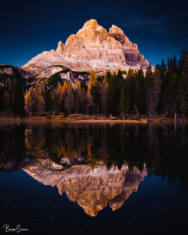 Nik Silver Efex: The world's favorite black & white photo editor - Nik ...