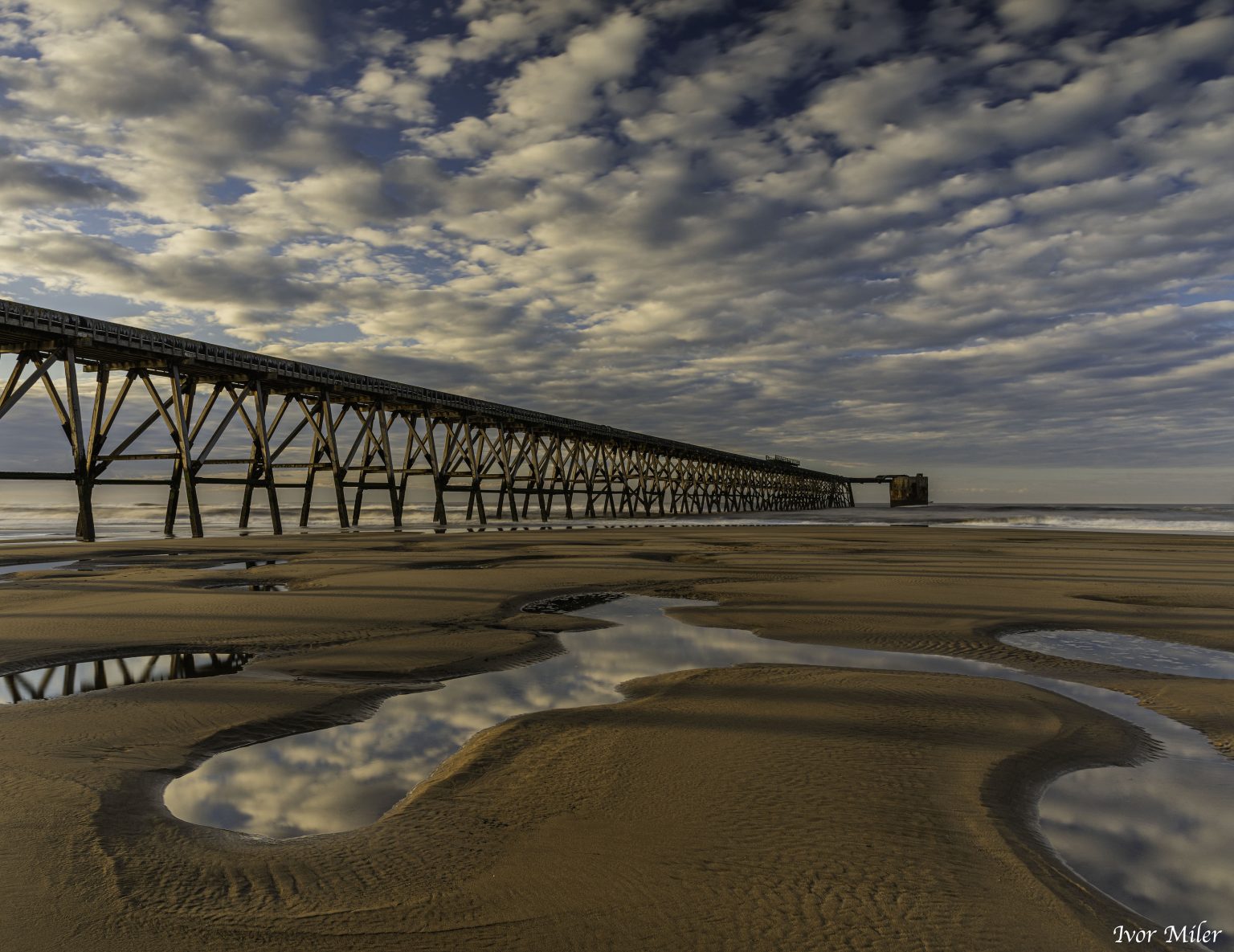 Nik Silver Efex: The world's favorite black & white photo editor - Nik ...