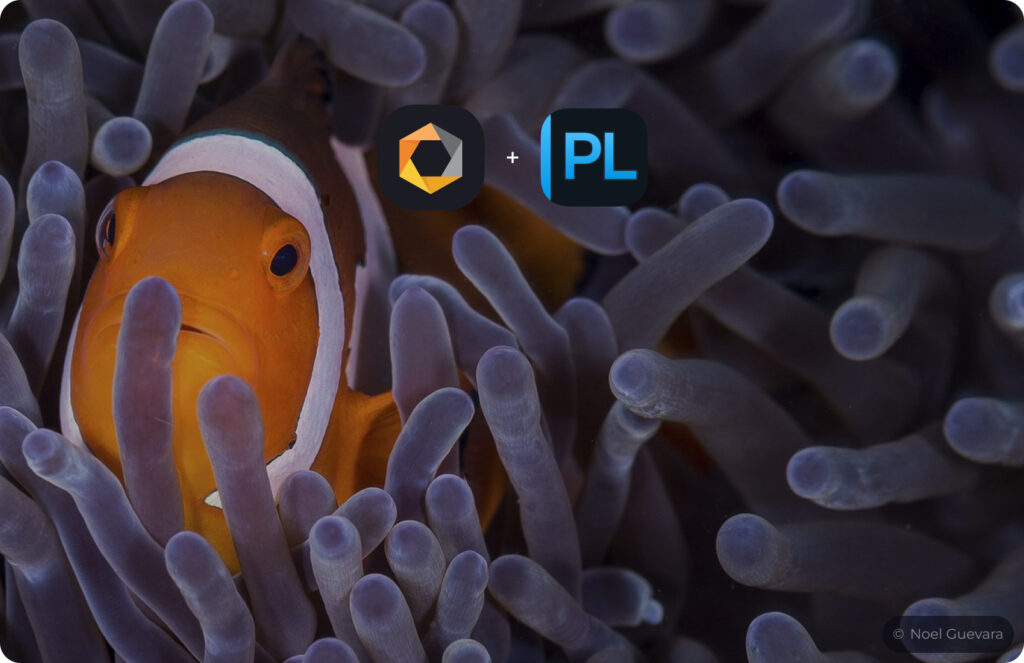 Nik Collection - 8 powerful plugins, endless possibilities