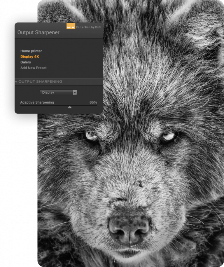 Nik Sharpener: Bring the ultimate detail from your photos - Nik ...