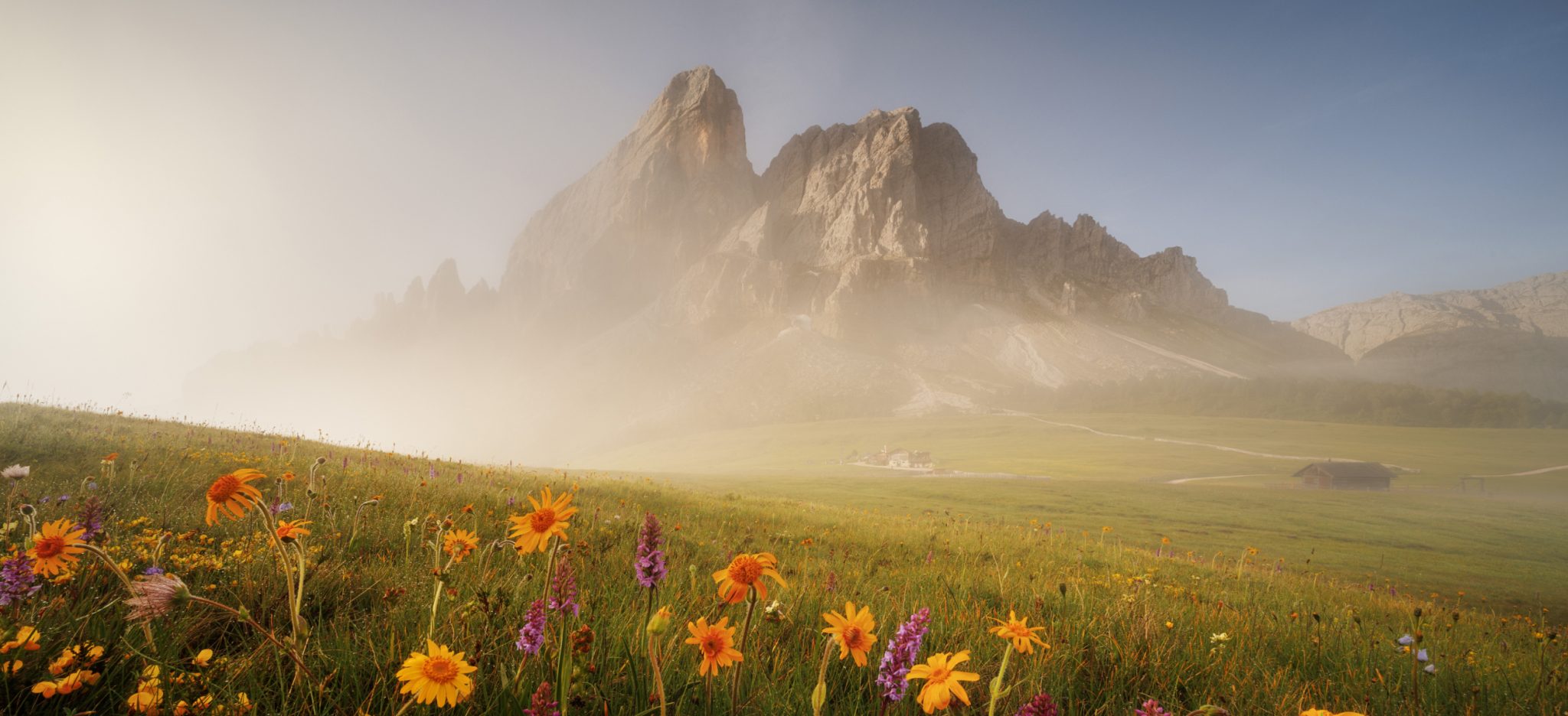 Nik Collection 6: The world's favorite photography plugins