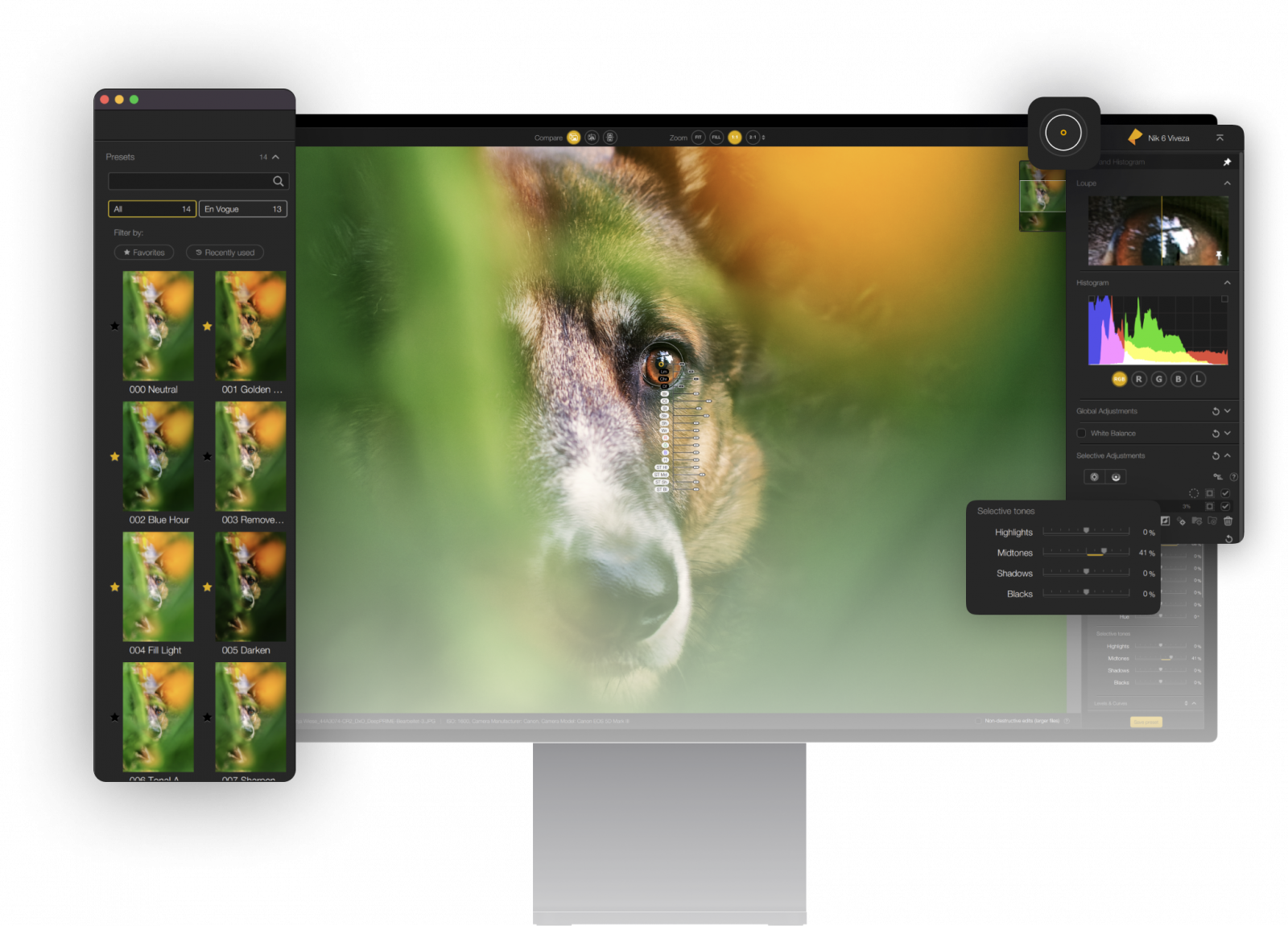 Nik Viveza: Creative photo effects at your fingertips - Nik Collection by DxO