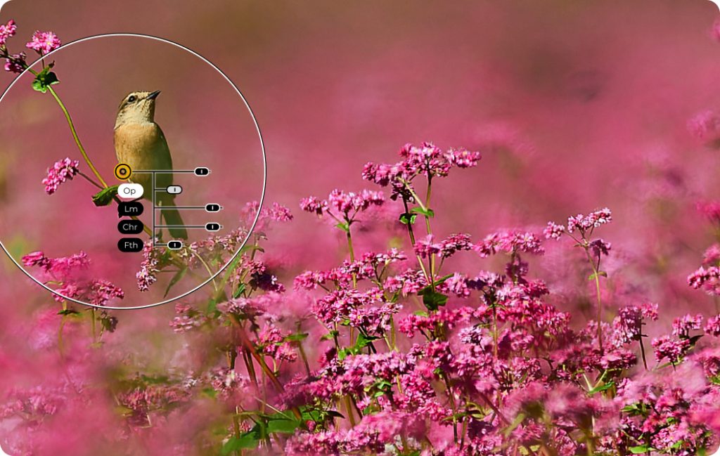 Nik Collection 6: The world's favorite photography plugins